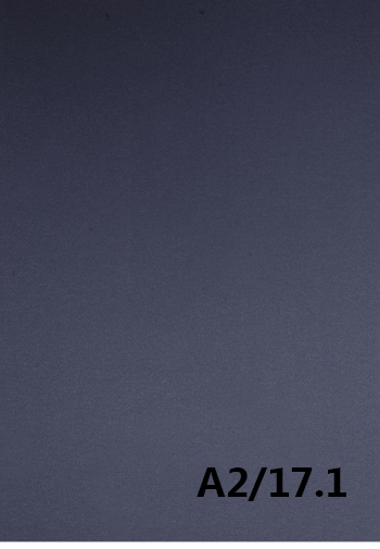 A2 17.1 - Vertex S.A.